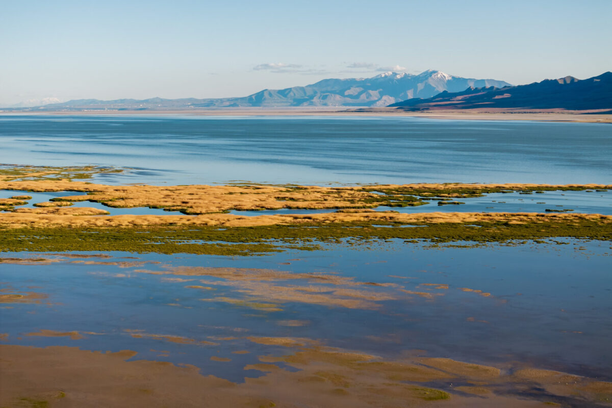US House passes Curtis’ Great Salt Lake Stewardship act | News, Sports ...